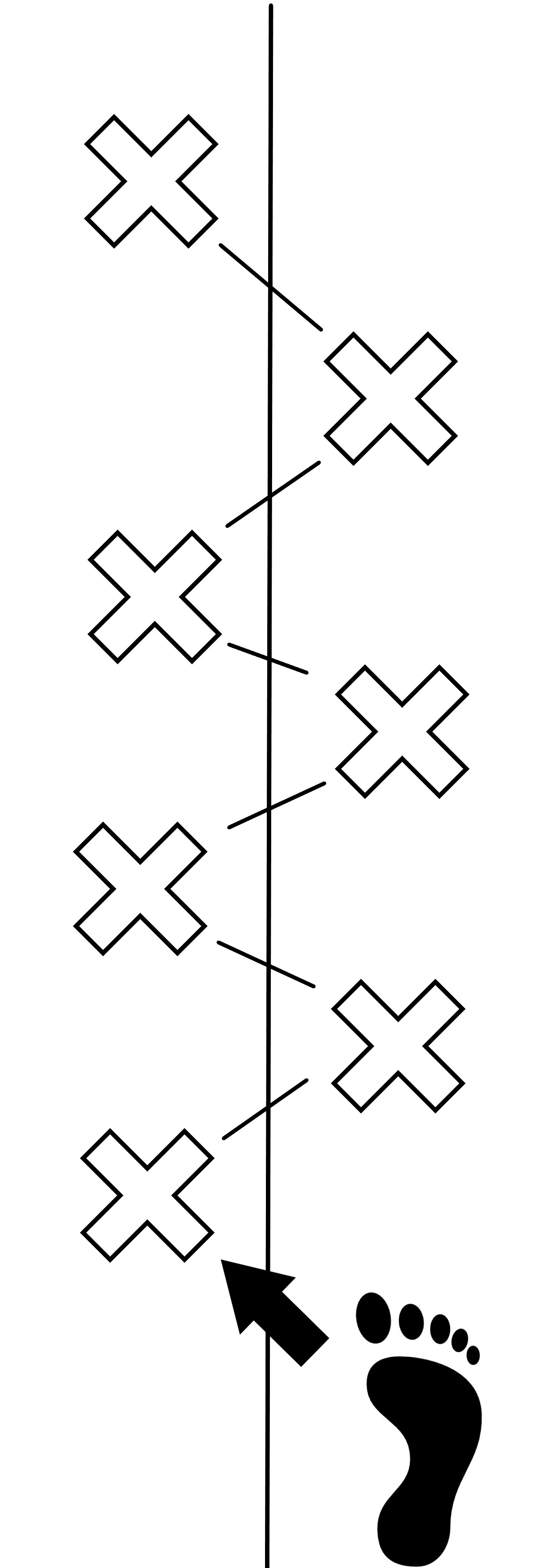 Prevention of Ankle Sprains in Sports - My Family Physio