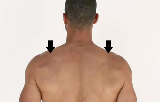Scapula Stability - My Family Physio