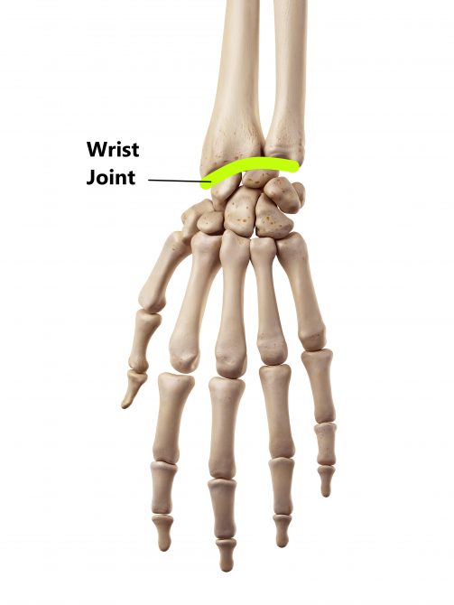 TFCC Injuries - My Family Physio