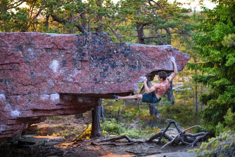 Scapula Stability - My Family Physio