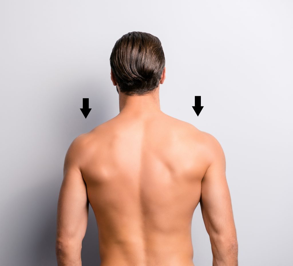 Scapula Stability My Family Physio