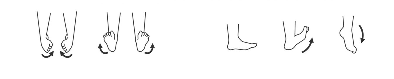 Ankle Sprains - My Family Physio