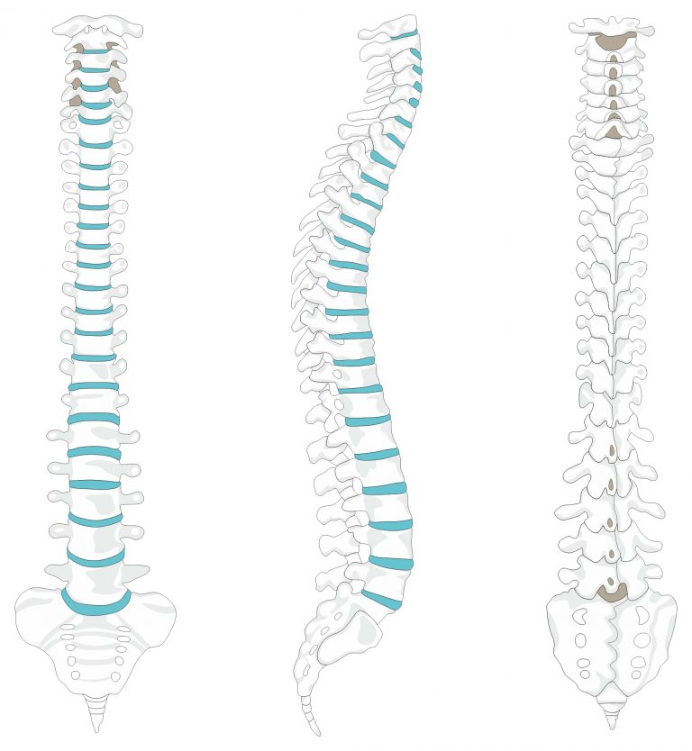 Computer Desk Injuries - My Family Physio