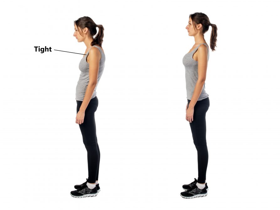 Scapula Stability - My Family Physio