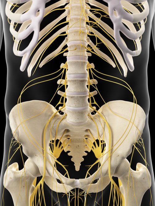 Sciatica - My Family Physio